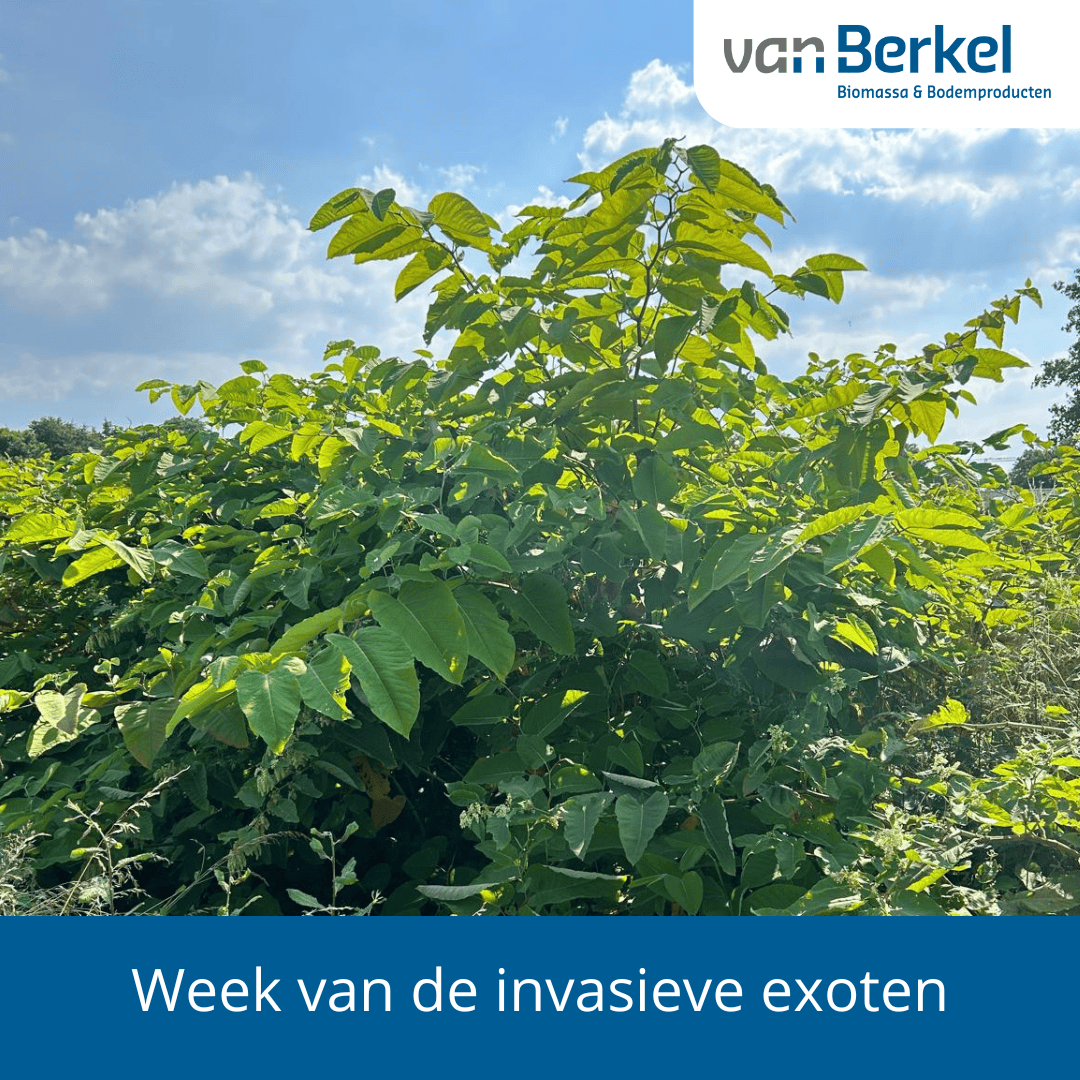 Week van de invasieve exoten - Van Berkel Groep
